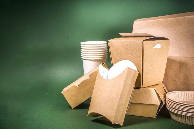 Biodegradable Food Packaging in Singapore That Works
